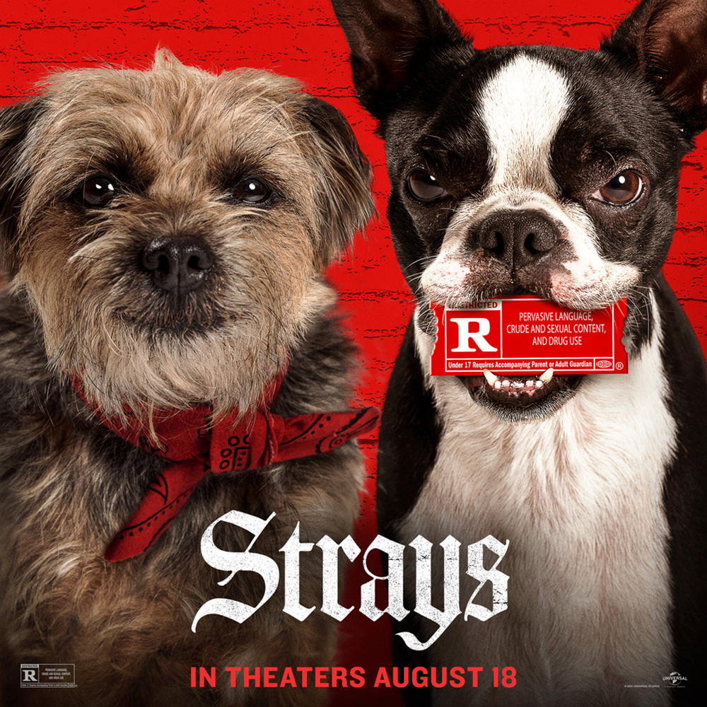 Strays – Greater WNY Film Critics Association